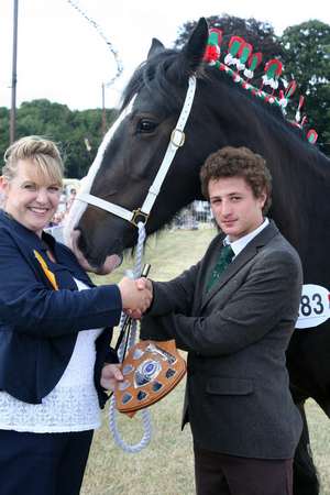 Revesby Heavy Horse Show 2014 - Lincolnshire Magazine - LincsMag.com
